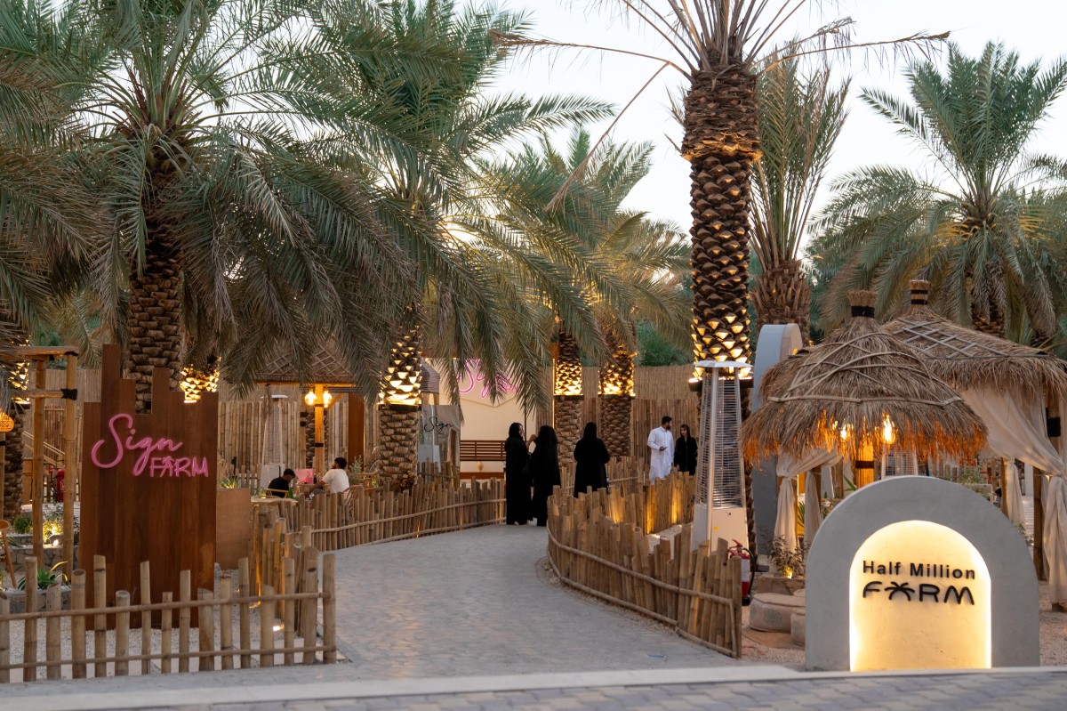 Hidden Gem: Explore the captivating blend of nature, cuisine, and ...