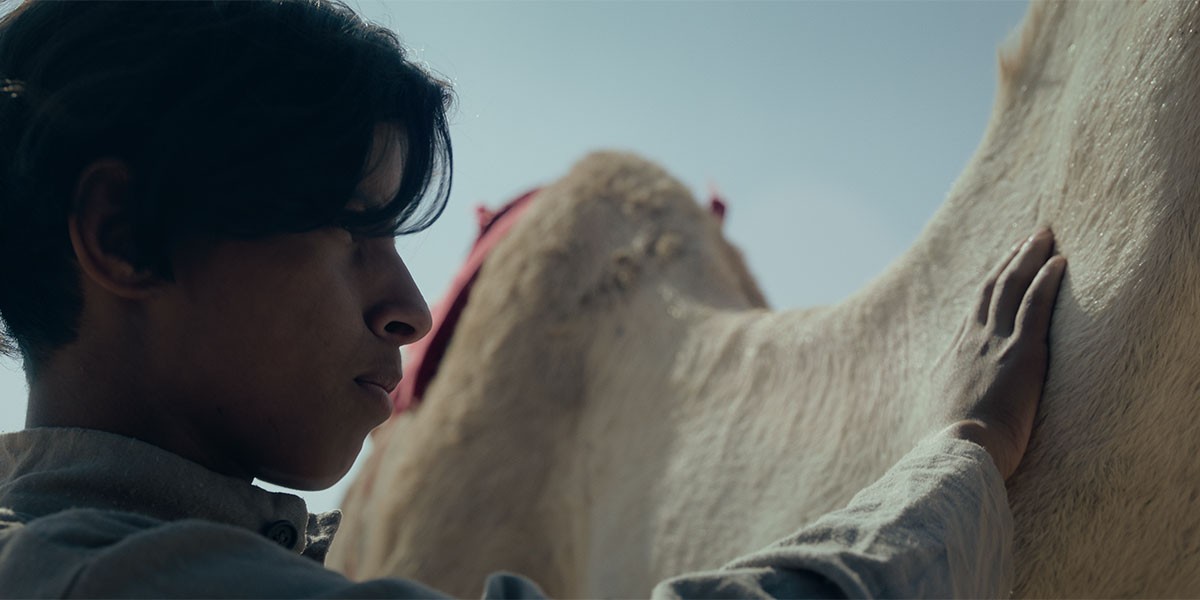 Hajjan, a Saudi film that celebrates the art and tradition of camel ...