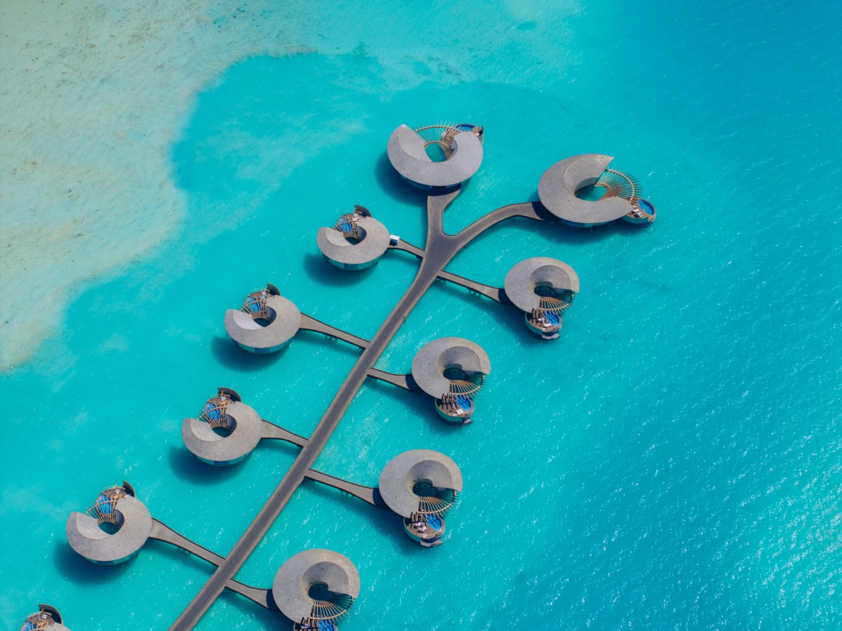 How the Red Sea's development is shaping the future of regenerative ...